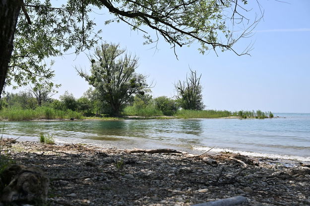 Neuer FKK-Strand am Bodensee geplant | RADIO 7